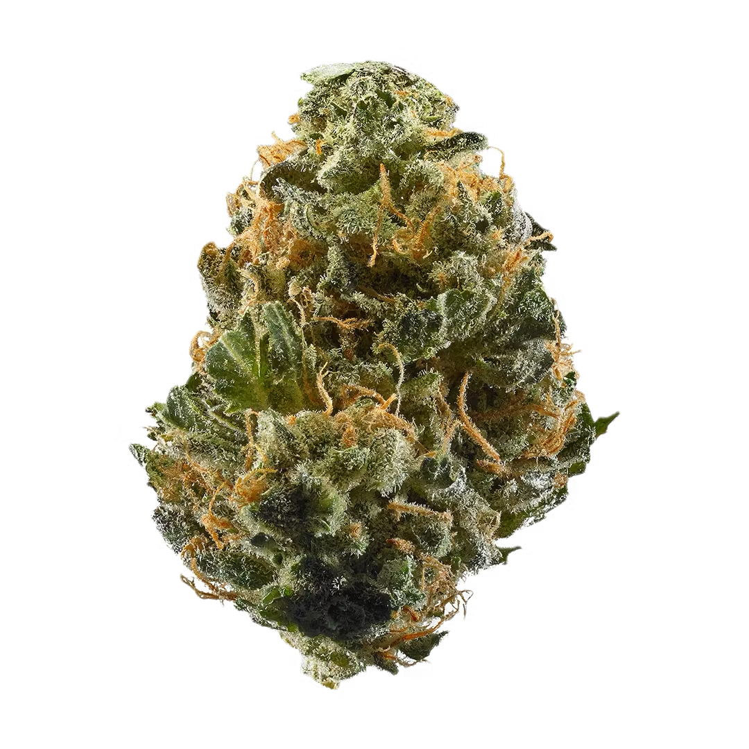 Home - Cannabis Boutique